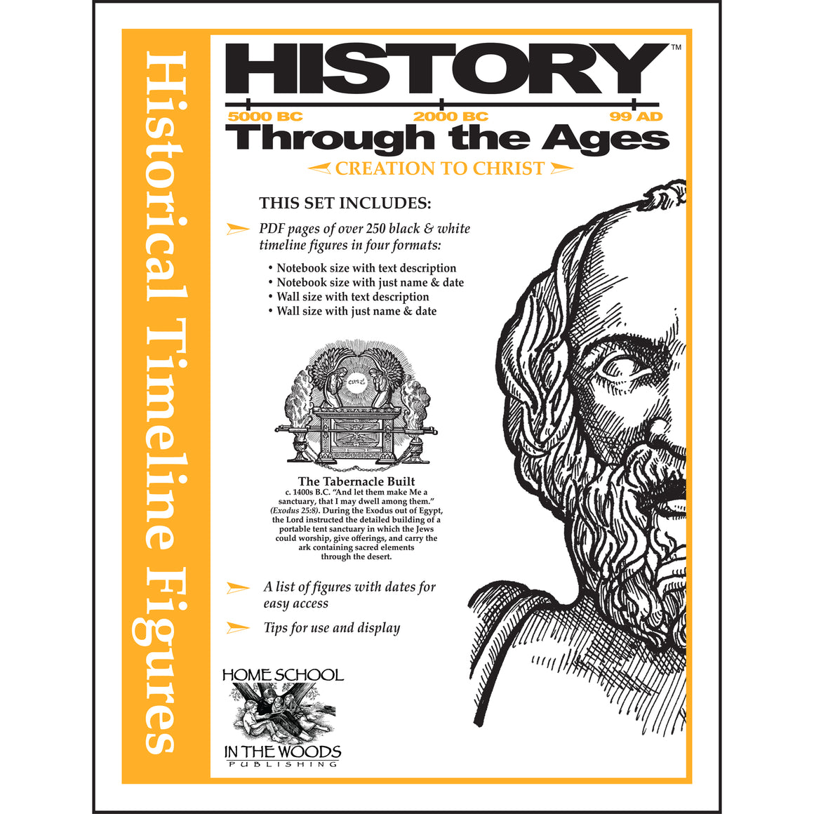 History Through the Ages Timeline Materials – Home School in the Woods ...